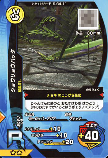 Mushiking / R / Omodoki Card / Kiwachi-Watari 4 S-G4-11 [R] : Acrida ...