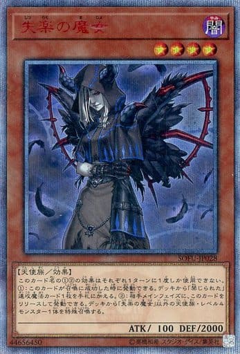 駿河屋 - SOFU-JP028[20thSE]：失楽の魔女（SOUL FUSION）