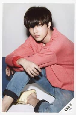 Official photo (Male) / idol / EXO-K EXO-K/KAI / Whole Body / Costume ...