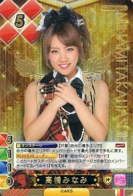 Idol (AKB48, SKE48) / AKB48 Trading Card Game & Collection vol. 1 Vol ...
