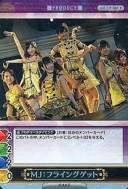 Idol (AKB48, SKE48) / AKB48 Trading Card Game & Collection vol. 1 Vol ...