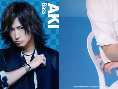 SID / Aki / Bust Up / Background Blue / SID 10 th Anniversary TOUR 2013 | Toy Hobby | Suruga-ya.com