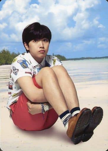 Collection Card (Male) / Han FUN LIVE 2015 B1A4 Trading Card B1A4/SANDEUL (Sanduru) / Full body ...