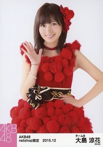 Official photo (AKB48, SKE48) / idol / AKB48 Ryoka Oshima / Above the Knees / AKB48 December ...