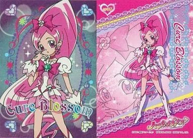 Anime Torayca / Special Card / HEARTCATCH PRECURE! Collection Card Gum ...