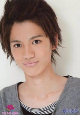 Official photo (male) / actor D2 / Takuya Negishi / Bust Up / Costume Gray / Striped Pattern ...