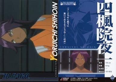 099 : Yoruichi Shihoin | Toy Hobby | Suruga-ya.com