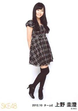 Official photo (AKB48, SKE48) / idol / SKE48 Keisumi Ueno / Whole body ...