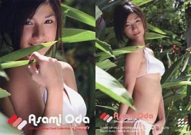 Collection Card (Female) / Asami Oda Official Trading Card Collection Asamint's R64 : Asami Oda ...