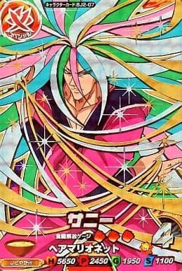 駿河屋 - BJ2-07[☆☆☆☆]：サニー（アニメ・ゲーム）