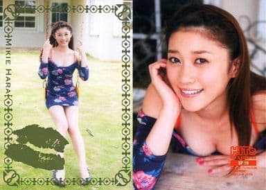 Collection Card (Female) / Hits! Limited 「 Mai Nishida 」 Trading Card SP19 : Mai Nishida ...