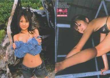 Collection Card (Female) / BOMB CARD Shoko Hamada Trading Card SHOKO HAMADA 063 : Shoko Hamada ...