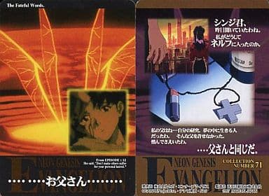 Anime Torayca / Fate Furuwa Card / NEON GENESIS EVANGELION P. P. Card ...