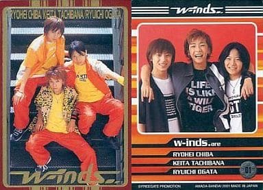 Collection Card (Male) / w-inds. Collection Card 2001 01 : w-inds. / (Gold Leaf Pressed) / w ...