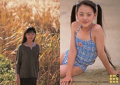 Collection Card (Female) / Special Torayca Book Torayca Princess Vol. 1 Natsuki Okamoto Leaf ...