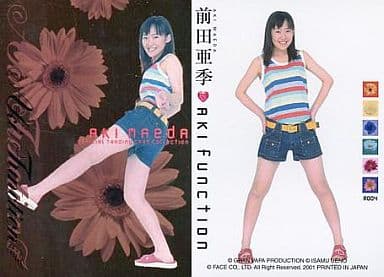 R004 : Aki Maeda Aki Maeda official trading card collection AKIFUNCTION | Toy Hobby | Suruga-ya.com