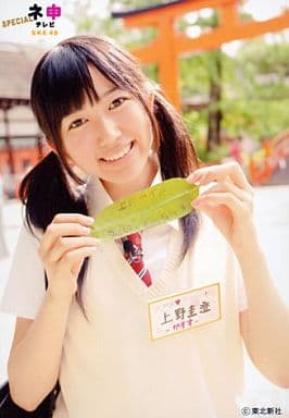 Official photo (AKB48, SKE48) / idol / SKE48 Kasumi Ueno / Upper Body ...