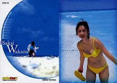 SP-B1 : Wakana Sakai / Visual Photo Card Collection Wakana Sakai | Toy Hobby | Suruga-ya.com