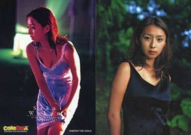 Collection Card (Female) / Visual Photo Card Collection Wakana Sakai 3 : Wakana Sakai / Visual ...