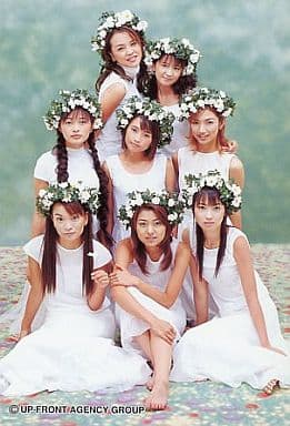 Official photo (Halopro) / idol / Halopro No. 59 / Gathering (8 persons ...