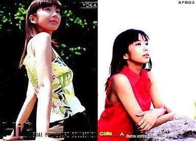 SPB03 : Hiroko Okabe / Gilded / Visual Photocard Collection HiP ...