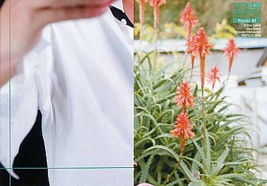 Collection Card (Male) / Yuichi Nakamura First Trading Card 67 : Yuichi ...