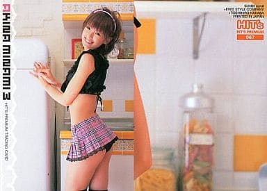 067 : 067/AKINA MINAMI / Akina Minami | Toy Hobby | Suruga-ya.com