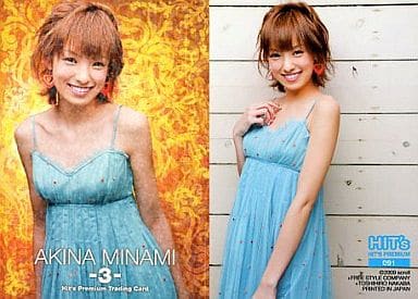 091 : 091/AKINA MINAMI / Akina Minami / Mirror Card | Toy Hobby | Suruga-ya.com