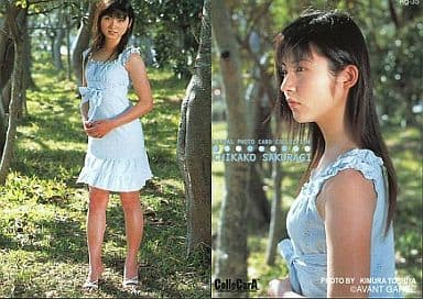 Rg-35 : Rg-35 / Chikako Sakuragi / ColleCarA | Toy Hobby | Suruga-ya.com