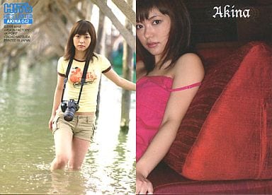 42 : AKINA/HIT'S LIMITED | Toy Hobby | Suruga-ya.com