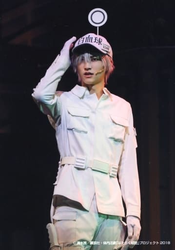 Masanari Wada (white blood cells (neutrophils)) / Live Photo ・ Knee-Up ・ Character Actor Shot ...