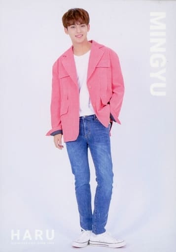 Collection Card (Male) / 「 Seventeen 2019 JAPAN TOUR' HARU' 」 Trading ...