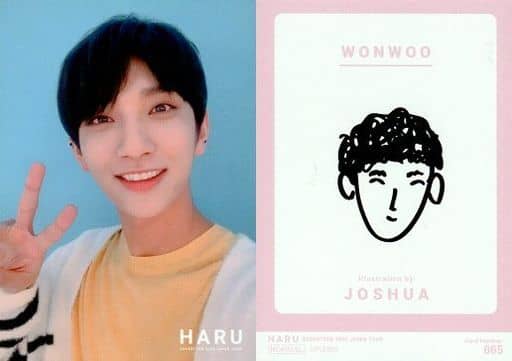 065 : Seventeen / JOSHUA / normal card / 「 Seventeen 2019 JAPAN TOUR ...