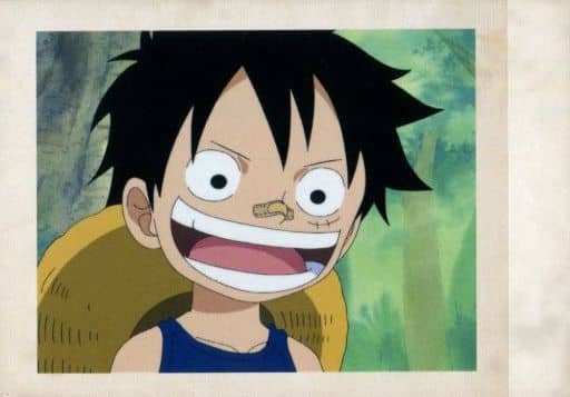 Anime Trekker / Normal / ONE PIECE Polaroid photo card No. 21 Normal ...
