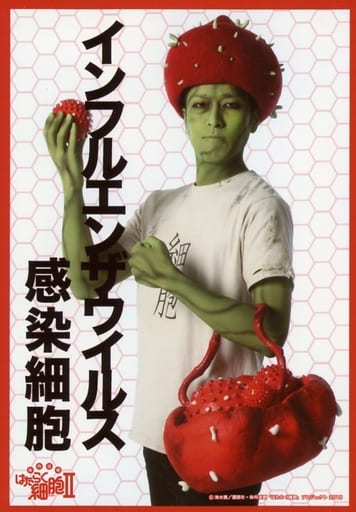 Shun Takagi (Influenza Virus-Infected Cells) / Above the Knee / with ...