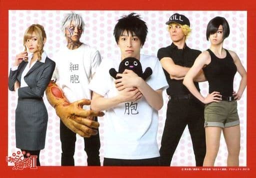 Official photo (male) / actor Gathering (5 persons) / Horizontal type ...