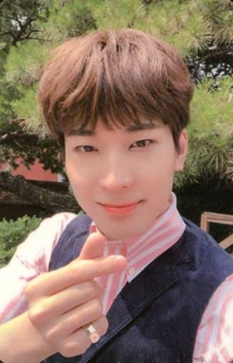 Seventeen / WONWOO (Wonu) / Costume Pink / Black / fingers of the right ...