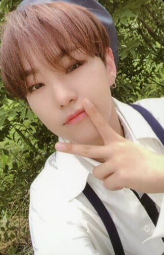 Seventeen / HOSHI / Bust Up / Left Hand Opening / Face Left Facing ...