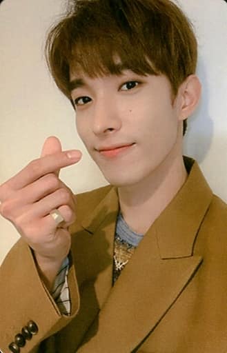 Seventeen / DK (ドギョム) / Costume Brown / fingers of the right hand Heart ...