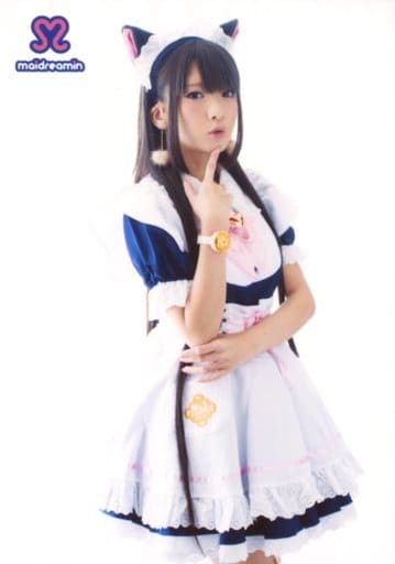 Kasho Rosiel / Above the Knee / Dark blue / White / Maid Dress / Cat ...