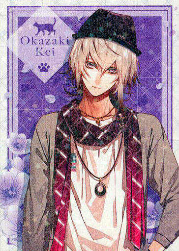 Okazaki Kei | Toy Hobby | Suruga-ya.com