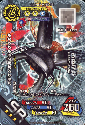 Mushiking / SR / Muscat Card / Choki / Bullock / Super-Strong Beetle ...