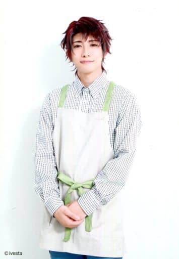 Yuki IWASA (Mamoru FUJIMURA) / Knee-high, Costume Check Pattern, Aprons ...