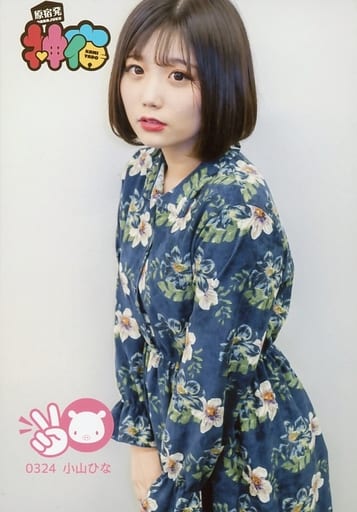 324 : Kamiyado / Hina Koyama / KUJI Official photo | Goods / Accessories | Suruga-ya.com