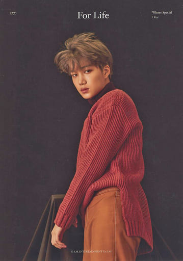 EXO / KAI / Background Black ・ "Winter Special" / "SMTOWN COEX Artium SUM" A4 Photo For Life ...