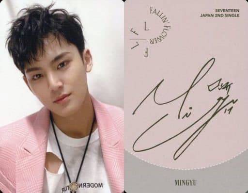 SEVENTEEN/MINGYU (Kim Min-gyu) / Back Red / Green / Printed with ...