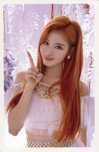 Collection Card (Female) / CD "MORE & MORE" reservation privilege photo ...