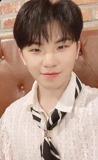 Seventeen / WOOZI / Both hands down / "Seventeen 7 th mini album" Heng ...