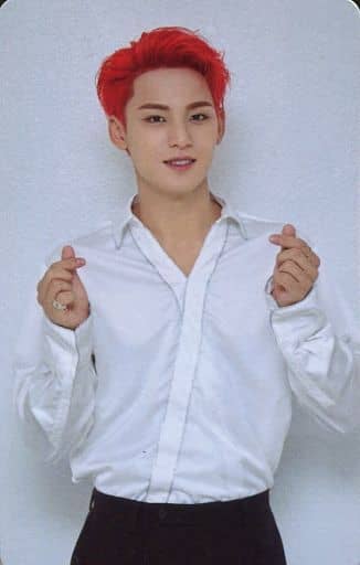 SEVENTEEN/MINGYU (Kim Min-gyu) / Upper body heart / Back side brown ...