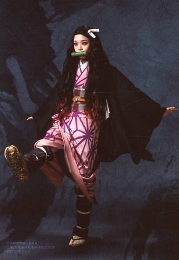 High stone light (Nezuko Kamado) / Whole Body / Character Shoot Shot ...